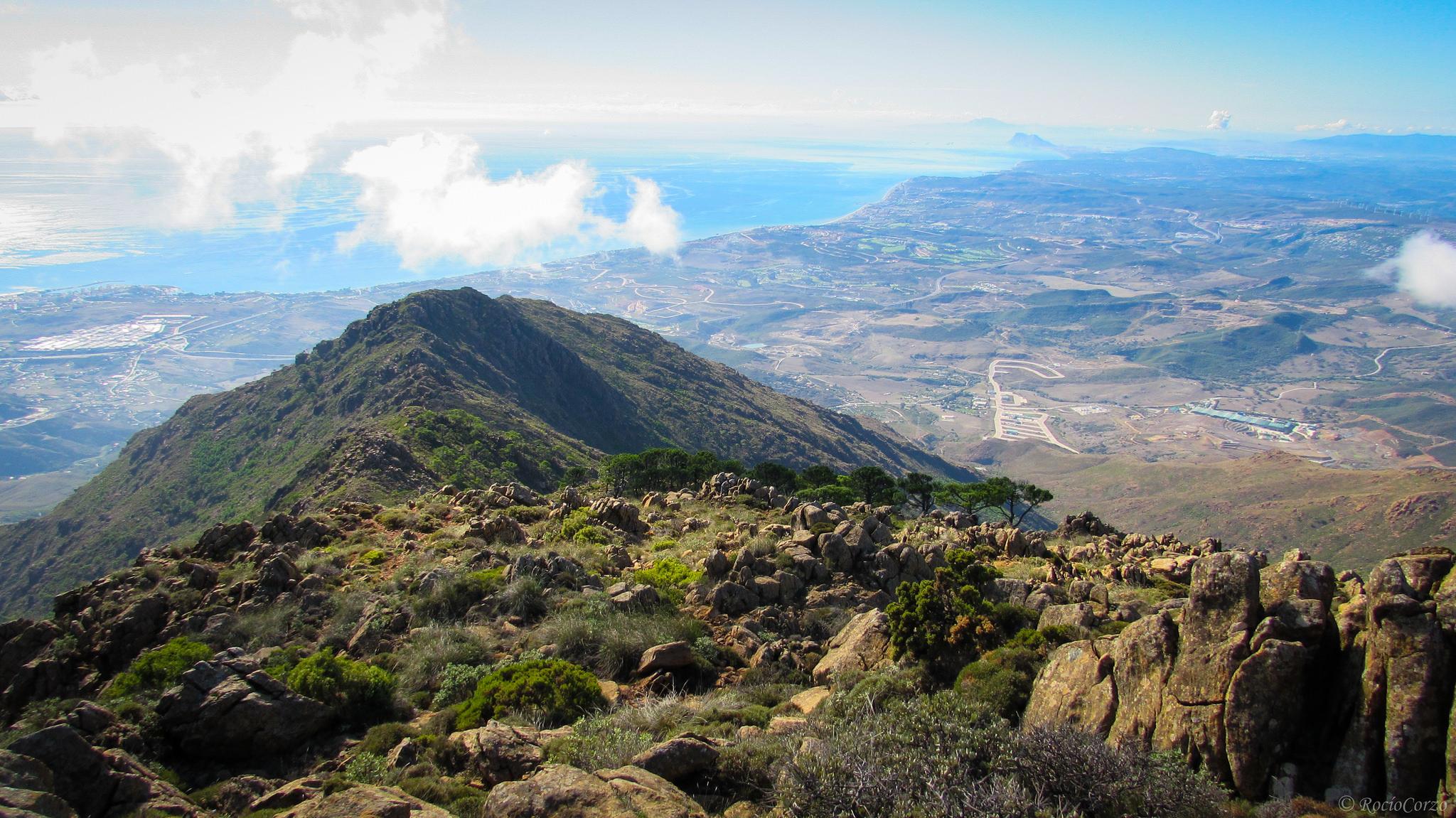Estepona - Sehenswürdigkeiten, Tipps und mehr