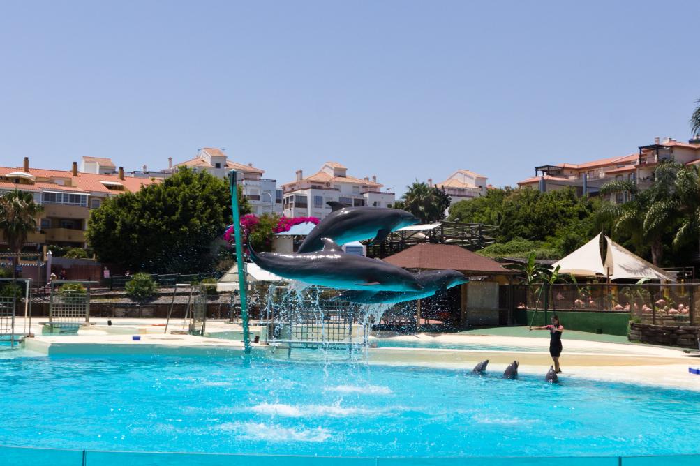Málaga mit Kindern erkunden: Tipps und Ideen